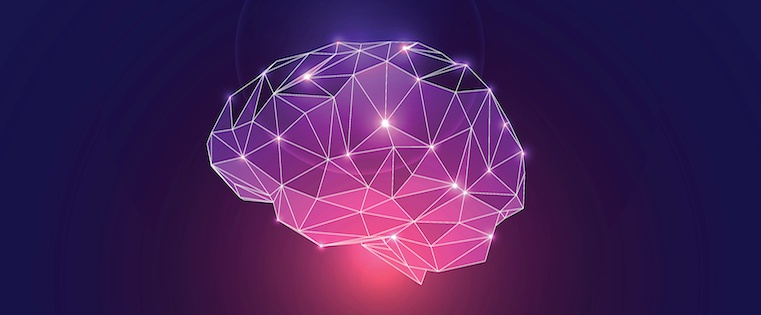 The Science Behind Design: 8 Psychology Principles to Apply to Your ...