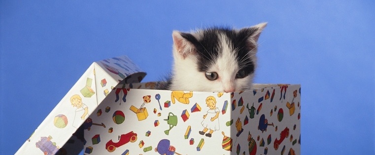 9 Ways Salespeople Can Provide Value to Prospects at Every Stage of the ...