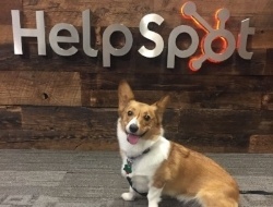 How to Size Images for Your Blog Content [HubSpot Support Series]