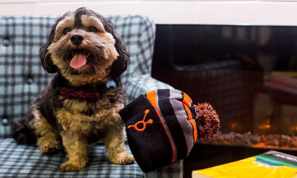 How to Size Images for Your Blog Content [HubSpot Support Series]