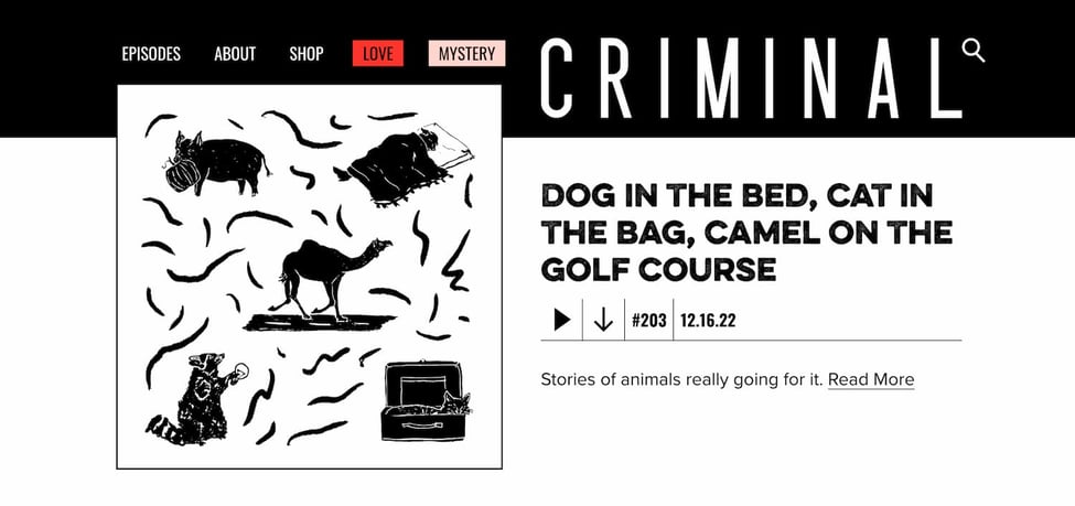 25 Podcast Website Examples