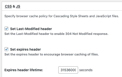 How to Leverage Browser Caching in WordPress