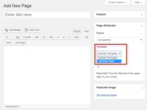How to Create a Landing Page in WordPress