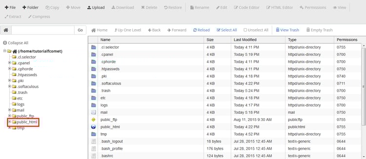 How to Export Your WordPress Media Library
