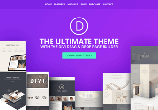 19 Trendy WordPress Themes with Modern Design