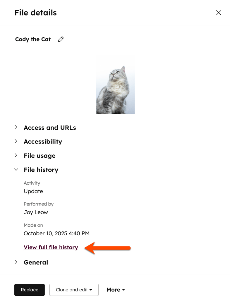 Manage individual file details