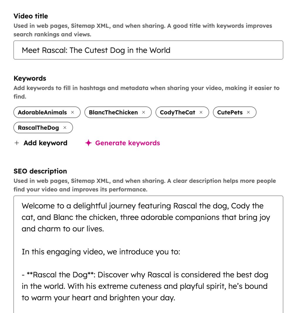 Review your video file details
