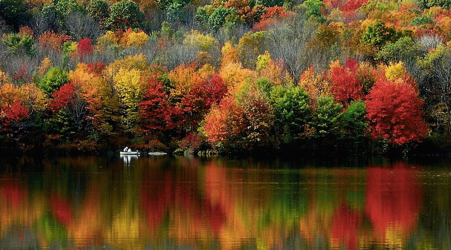 13 sites para encontrar imagens grátis