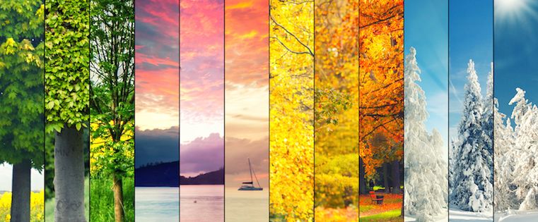 How to Plan a Seasonal Marketing Campaign: A 5-Step Guide