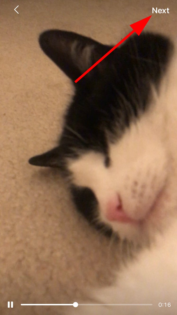 IGTV: Everything You Need to Know to Use it For Your Marketing & More