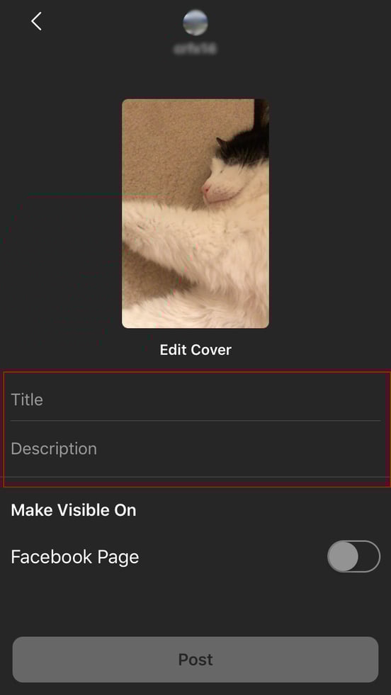 IGTV: Everything You Need to Know to Use it For Your Marketing & More