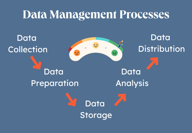 Understanding Data Management: Types, Benefits, & Software