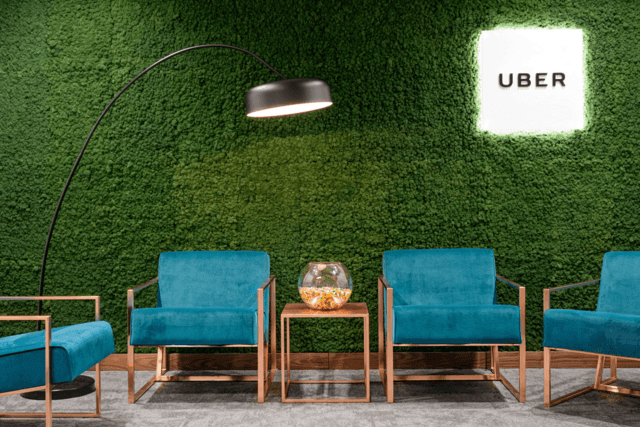 Everything You Need to Know About the Principles and Types of Design