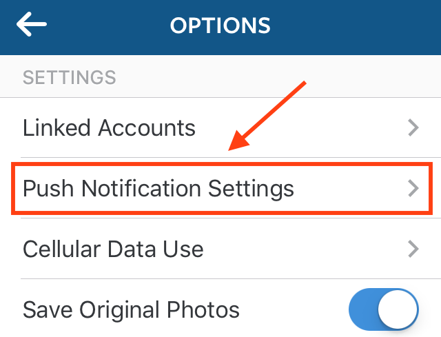 The Anatomy of a Perfect Instagram Profile