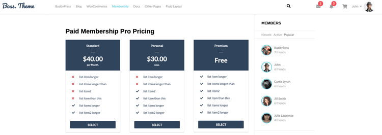 Boss WordPress Theme Review: Create a Stunning Community Site