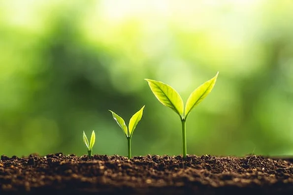 Scaling Your Business: 6 Stages You Need to Know Scaling Your Business: 6 Stages You Need to Know